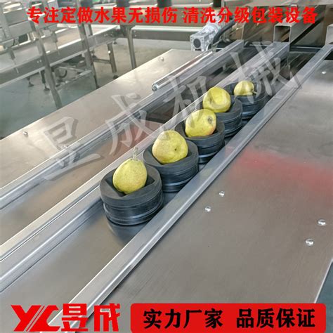 昱成 水果加工生产线 水果分选设备 无损伤自动选果机 果蔬分拣设备