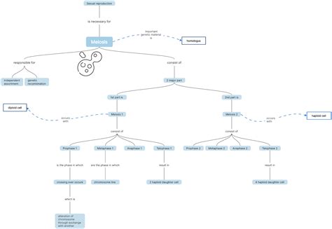 Cell Reproduction Concept Map