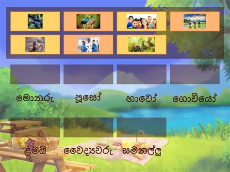 ප්‍රාණවාචී බහුවචන බහු වචන උක්ත පද තෝරමු Match Up