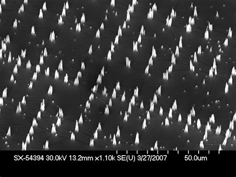random data vertically aligned carbon nanofibers