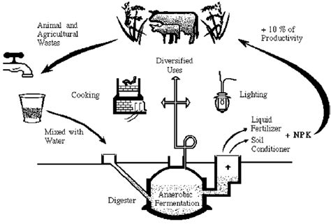 1 Biomethanation And Its Integrated Use In The Latin American