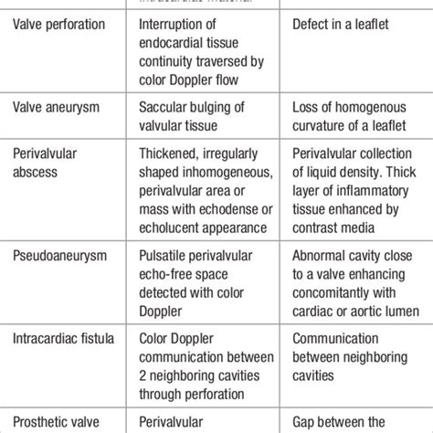 Definitions Of Infective Endocarditis Related Findings On Tee And