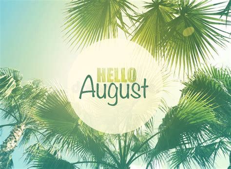 Hello August Beautiful View Of Palm Trees On Sunny Day Stock Image
