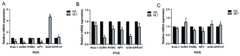Melatonins Effects On The Expression Of Reproductive Related Neuronal