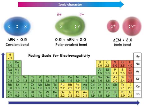 Fig 2 2 P 34 Figure 2 2 Electronegativity Values And Trends