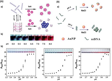 Ph Sensing Nanosensors A I‐motif Dna Aunp Based Nanosensor A Download Scientific Diagram