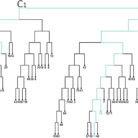 Dendrogram For Core Germplasm Vs Released Varieties Using The Upgma