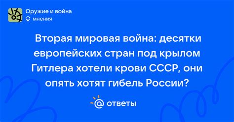 Вторая мировая война десятки европейских стран под крылом Гитлера хотели крови СССР они опять