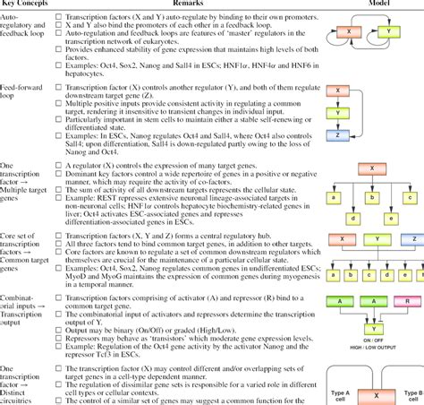 Models Of Transcription Regulatory Network Download Table