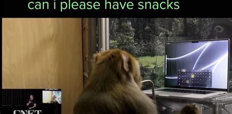 马斯克的脑机接口公司neuralink将在6个月内开始人体试验 智源社区