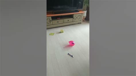 춤추는 풍선 리뷰 Youtube