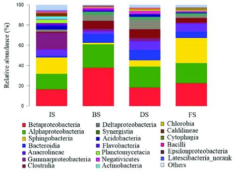 Microbial Community Structure And Composition By Class In Samples Download Scientific Diagram