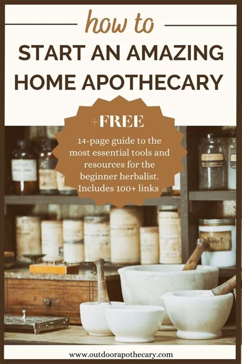 Start An Amazing Home Apothecary With These 22 Must Have Herbs And