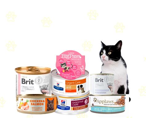 Productos Para Gatos La Tienda Online Más Completa Pet Shop