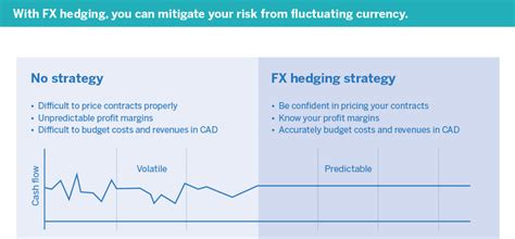 Infographic Manage Your Fx Hedging Strategy Edc