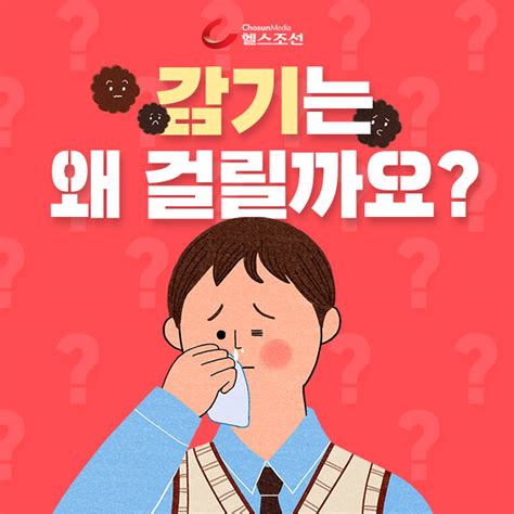 [카드뉴스] ‘감기 바로 알기 감기는 왜 걸릴까요 당신의 건강가이드 헬스조선