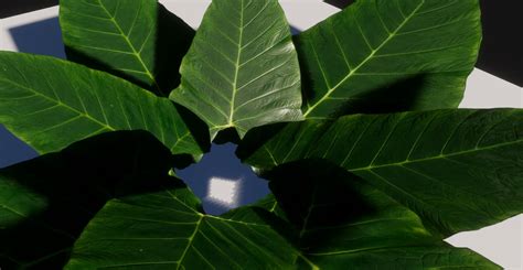 Unity Shader Graph Problem With Transparency Unity Engine Unity Discussions