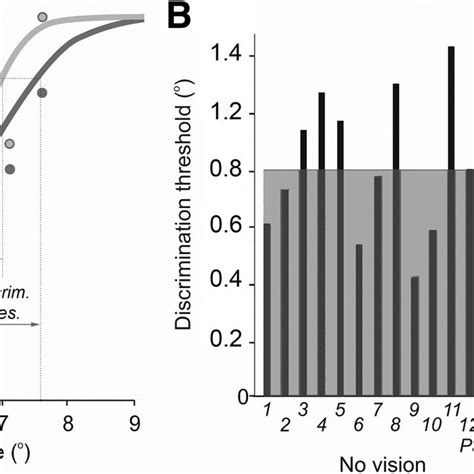 Behavioral Effects Of Visual Information On Foot Movement Amplitude Download Scientific Diagram