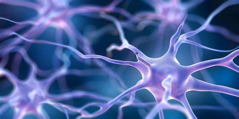 Exploring The Intricate Network Of Neurons In The Human Brain For Medical Research Concept