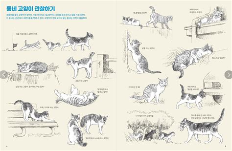 고양이 일상도감