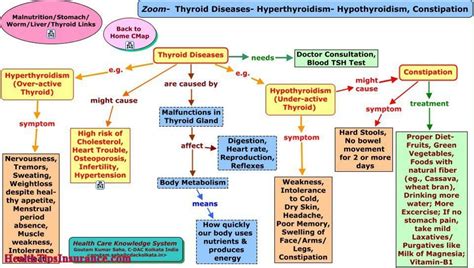The Different Signs Hyperthyroidism And Hypothyroidism Implications