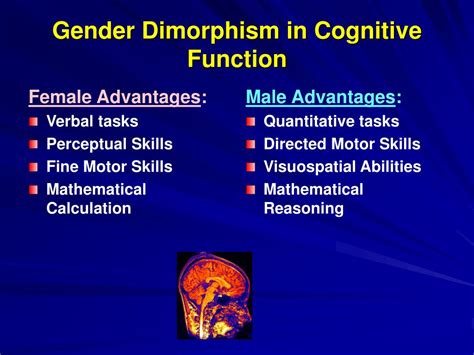 PPT SEX DETERMINATION AND DIFFERENTIATION PowerPoint Presentation Free Download ID 3311585