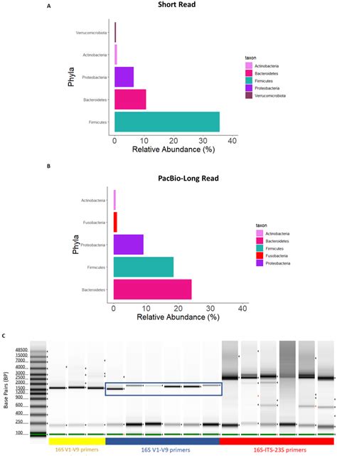 Composition Plots Aggregated To The Phylum Level For A Sr And B
