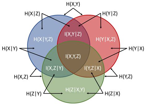 Joint Entropy Conditional Entropy And Mutual Information Microlab