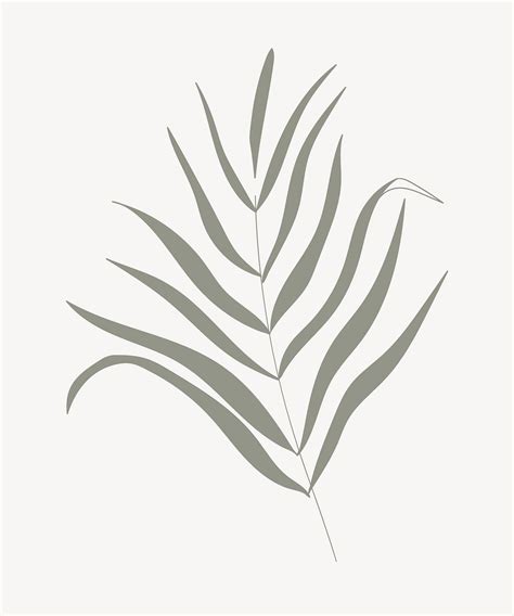 Green Leaf Aesthetic Vector Premium Vector Rawpixel