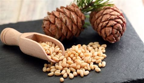 Орехи при беременности польза и вред грецкие кедровые бразильский макадамия мускатный