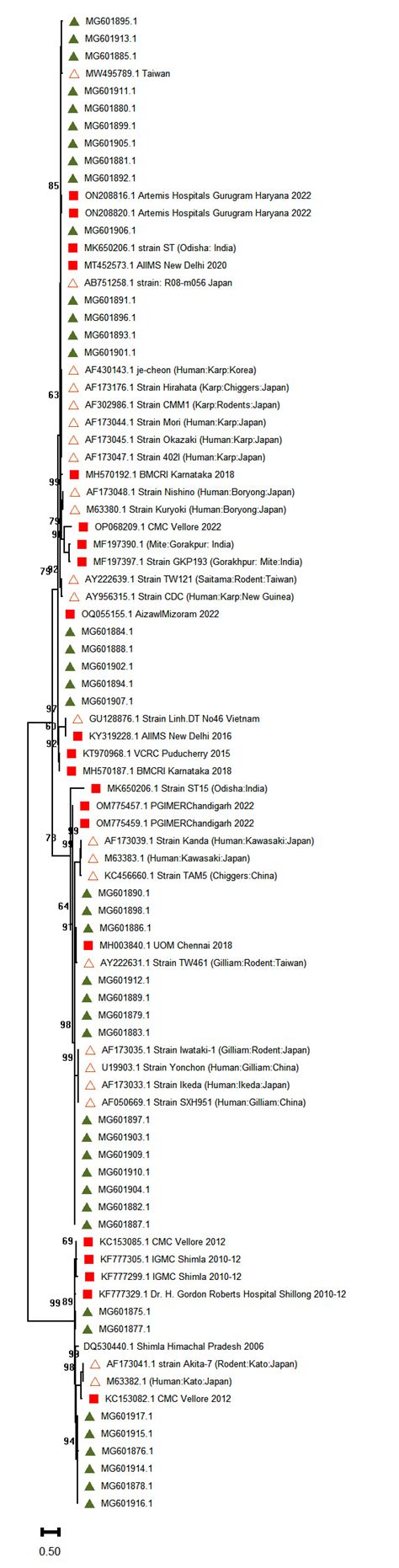 Application Of Nested Pcr And Loop Mediated Isothermal Amplification