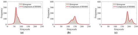 The Fitting Results Of The Histogram Of The Simulated Image Ac Download Scientific Diagram