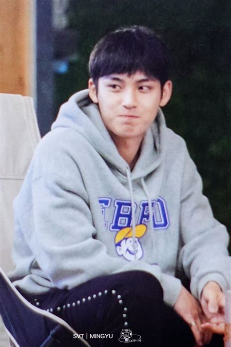 Scan Mingyu Seventeen In The Soop Gambar Pacar