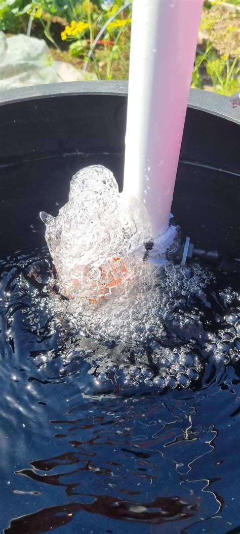 Automated Allotment Watering System Project Diary Home Automation