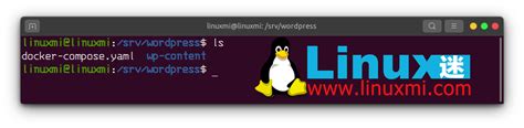 使用 docker 安装 wordpress 图文指南 linux迷