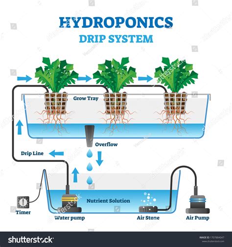 Hydroponic System Over 1 971 Royalty Free Licensable Stock Illustrations And Drawings Shutterstock