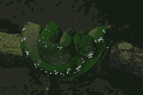 Comparing Python And C For Speed