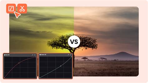 Best Color Grading And Correction Software To Improve The Works Appeal