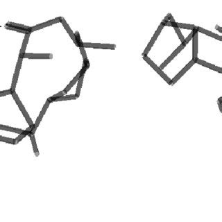 Minimized Structures Of Nonactin Complexed With Ammonium Ion Left And Download Scientific