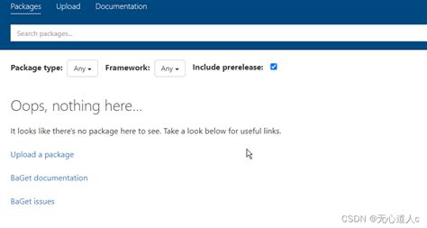 Nuget私域部署（baget）及其使用 Csdn博客