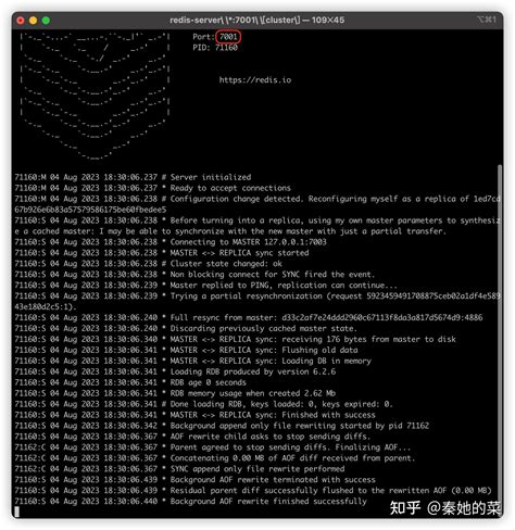【保姆级】redis集群（cluster）本地案例手把手操作指南（含常见问题以及处理方式） 知乎