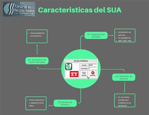 Conoce Qu Es El Sua Y Porqu Es Tan Necesario Grupo Tress Internacional