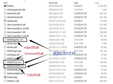 idm正版的安装与激活 使用教程 edge浏览器下载（绿色可更新）（本教程适合纯小白） 哔哩哔哩