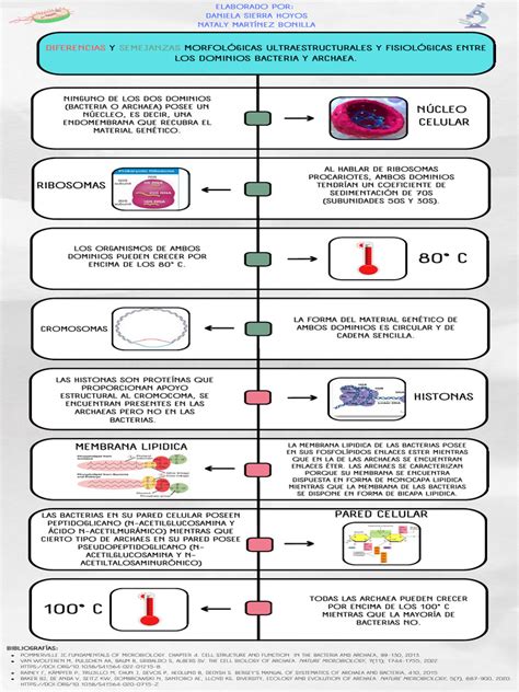 Diferencias Y Semejanzas Archaea Y Bacteria Pdf