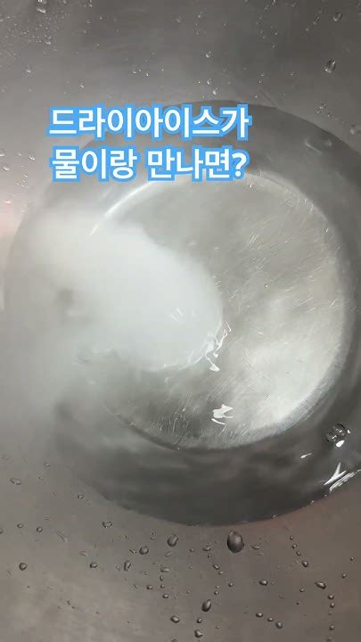 드라이아이스가 물이랑 만나면 어떻게 될까요 Youtube