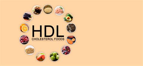 25 Hdl Cholesterol Foods To Include In Your Diet