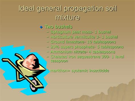 PPT Sexual Propagation PowerPoint Presentation Free Download ID 5364277