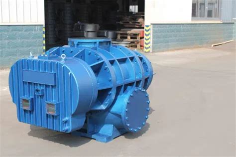 Customizable Rotary Lobe Blower Packages For Tailored Pneumatic And Vacuum Systems In