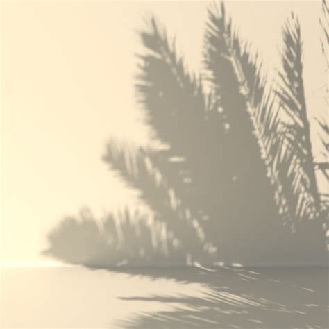Palm Tree Gobos 4 Motion Design Models Blenderkit