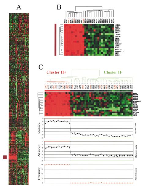 Cluster Ii And Classi Fi Cation Of Breast Tumour Samples A Download Scientific Diagram